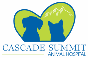 Heartworm Awareness Month | Cascade Summit Animal Hospital